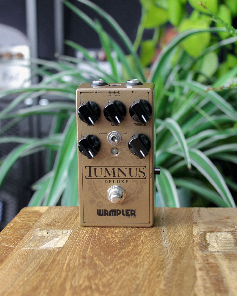 Sale – Pedal Jungle